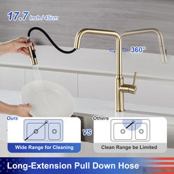 Rainlex® One-Handle Pull-Down Brushed Gold Kitchen Faucet at Menards®
