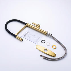 Rainlex® One-Handle Pull-Down Brushed Gold Kitchen Faucet at Menards®