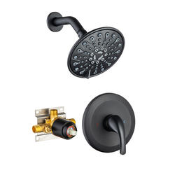 Rainlex® One-Handle 6-Spray Setting Matte Black Shower Faucet at Menards®