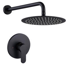 Rainlex® One-Handle 1-Spray Matte Black Shower Faucet at Menards®
