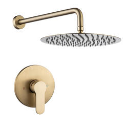 Rainlex® One-Handle 1-Spray Brushed Gold Shower Faucet at Menards®