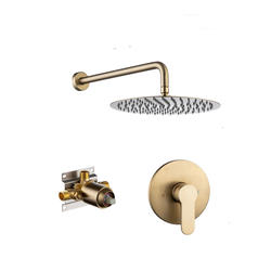 Rainlex® One-Handle 1-Spray Brushed Gold Shower Faucet at Menards®