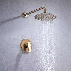 Rainlex® One-Handle 1-Spray Brushed Gold Shower Faucet at Menards®