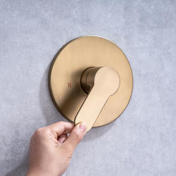 Rainlex® One-Handle 1-Spray Brushed Gold Shower Faucet at Menards®