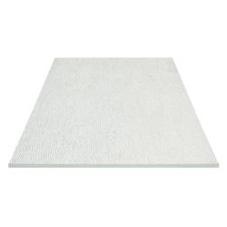 3/4 x 2' x 4' White PVC Panel at Menards®