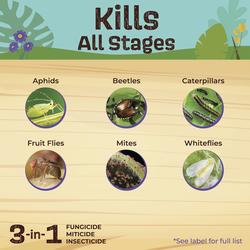 Bonide® Captain Jack's® Ready-to-Use Neem Oil Multipurpose Spray - 32 ...