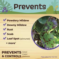 Bonide® Captain Jack's® Ready-to-Use Neem Oil Multipurpose Spray - 32 ...