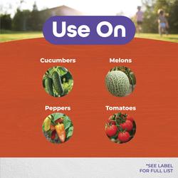 Bonide® Rot-Stop® Tomato Blossom End Rot Concentrate - 16 oz. at Menards®