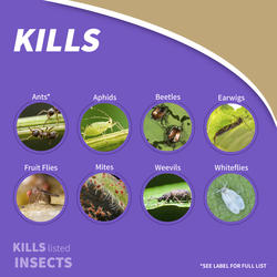 Bonide® Captain Jack's® Ready-to-Use Tomato & Vegetable Insect ...