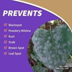 Bonide® Captain Jack's® Ready-to-Use Tomato & Vegetable Insect ...