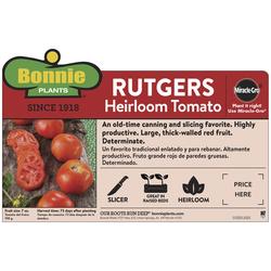 Bonnie Plants® Rutgers Tomato - 19.3 Ounces at Menards®