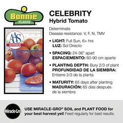 Bonnie Plants® Celebrity Tomato - 6 Pack at Menards®