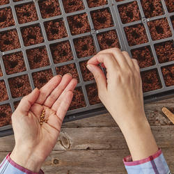 Burpee® Super Growing Pellets® - 72 Pack at Menards®