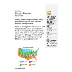 Burpee® Blue Bird Forget Me Not Flower Seeds at Menards®