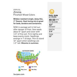 Burpee® Pinwheel Mixed Colors Zinnia Flower Seeds at Menards®