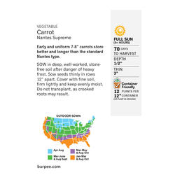 Burpee® Nantes Supreme Carrot Vegetable Seeds at Menards®