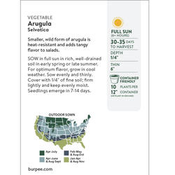 Burpee® Organic Selvatica Arugula Vegetable Seeds at Menards®