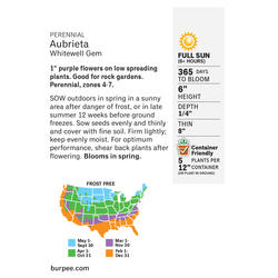 Burpee® Whitewell Gem Aubrieta Flower Seeds at Menards®