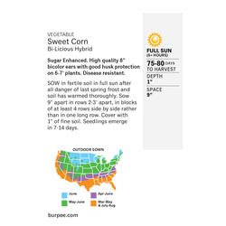 Burpee® Sweet Bi-Licious Hybrid Corn Vegetable Seeds at Menards®