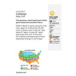 Burpee® Baby Choi Cabbage Vegetable Seeds at Menards®