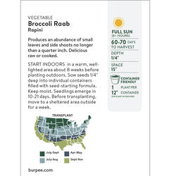Burpee® Organic Rapini Broccoli Raab Vegetable Seeds at Menards®