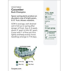 Burpee® Organic Bush Champion Cucumber Vegetable Seeds at Menards®