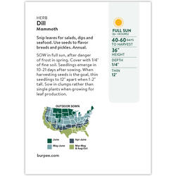 Burpee® Organic Mammoth Dill Herb Seeds at Menards®