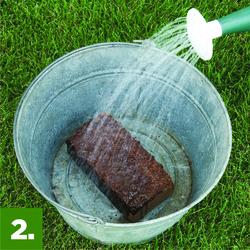 Burpee® Eco-Friendly Natural & Organic™ Concentrated Seed Starting Mix ...