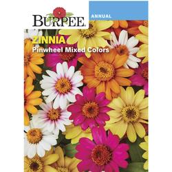 Burpee® Pinwheel Mixed Colors Zinnia Flower Seeds at Menards®