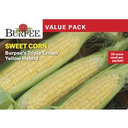 Burpee® Triple Crown Yellow Hybrid Sweet Corn Vegetable Seeds at Menards®