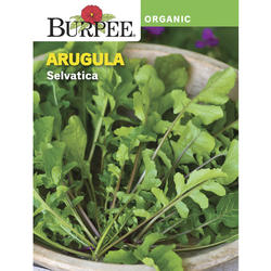 Burpee® Organic Selvatica Arugula Vegetable Seeds at Menards®