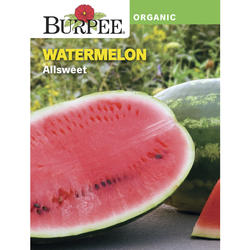 Burpee® Organic Allsweet Watermelon Fruit Seeds at Menards®