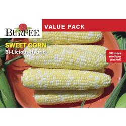 Burpee® Bi-Licious Hybrid Sweet Corn Vegetable Seeds at Menards®