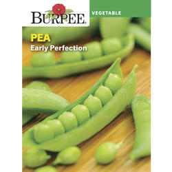 Burpee® Early Perfection Pea Vegetable Seeds at Menards®