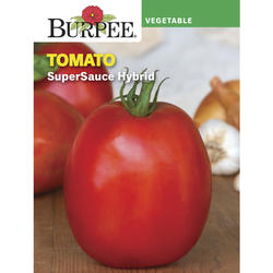 Burpee® SuperSauce Hybrid Tomato Vegetable Seeds at Menards®