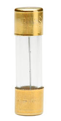 Cooper Bussmann® AGU 40-Amp Fast-Acting Gold-Plated Glass Tube Fuse - 2 ...