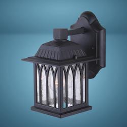 Patriot Lighting® Sante Fe Black Outdoor Wall Light at Menards®