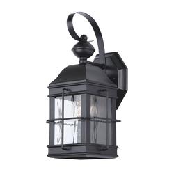 Patriot Lighting® Haden Matte Black Outdoor Wall Light at Menards®