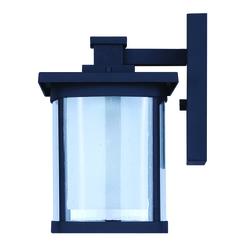 Patriot Lighting® Douglass 1-Light Matte Black Outdoor Wall Light at ...