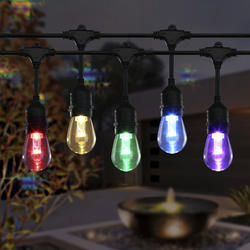 Candex 24' Reactive Color Changing LED String Light at Menards®