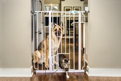 Carlson™ 41" x 29"-40" Extra-Tall Pet Gate at Menards®