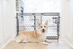 Carlson™ Plastic Expandable Pet Gate at Menards®