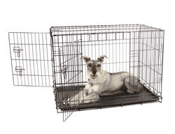 Carlson Intermediate Double Door Dog Crate at Menards®