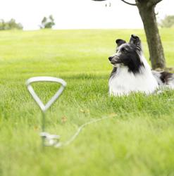Master Paws® Triangle Screw Dog Tie-Out Stake at Menards®