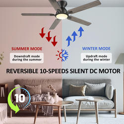 CARRO Byrness 52" Black Indoor LED Ceiling Fan with Remote at Menards®