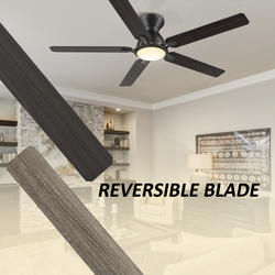 CARRO Byrness 52" Black Indoor LED Ceiling Fan with Remote at Menards®