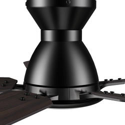 CARRO Byrness 52" Black Indoor LED Ceiling Fan with Remote at Menards®