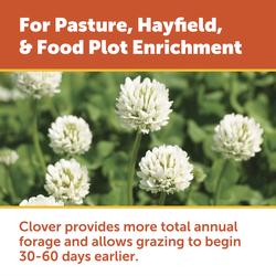 Pennington® Durana White Clover Seed - 25 lbs. at Menards®