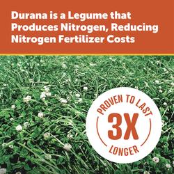 Pennington® Durana White Clover Seed - 25 lbs. at Menards®