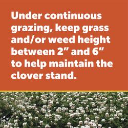 Pennington® Durana White Clover Seed - 25 lbs. at Menards®